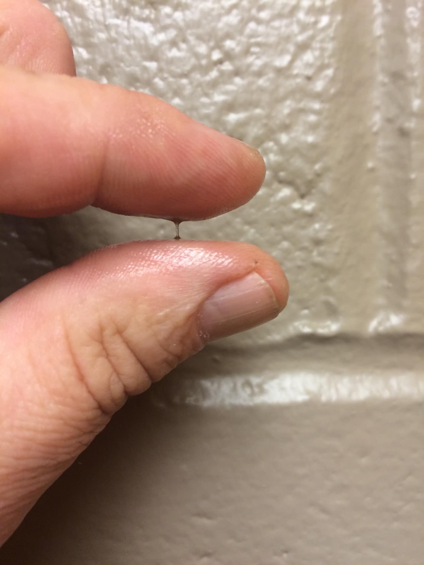 Review : Lucas Extreme Duty Gun Oil